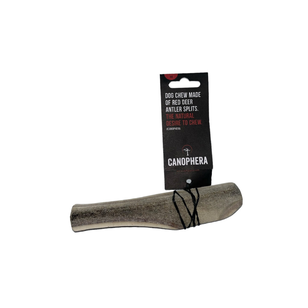 Canophera Whole Antler | Raw and Kibble